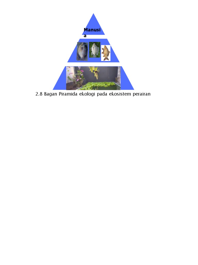Gambar Piramida Perairan | PDF | Teknologi & Rekayasa