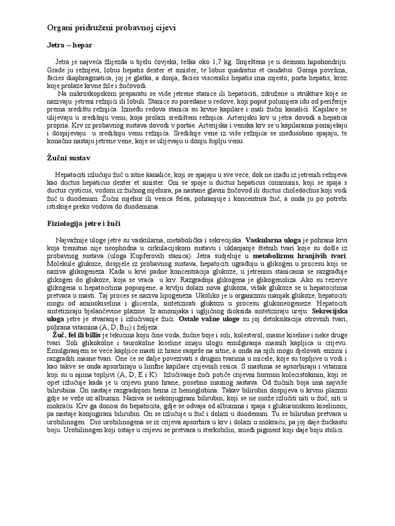 Organi Pridruženi Probavnoj Cijevi I Fiziologija Probave | PDF