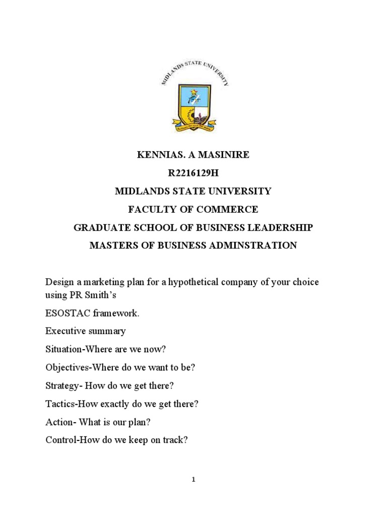 Marketing Plan | PDF | Mining | Marketing