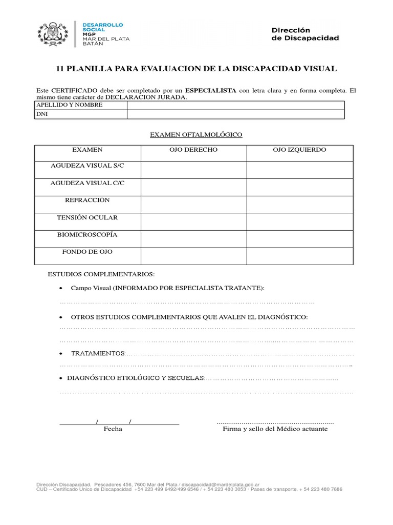 11 Planilla para Evaluar Discapacidad Visual | PDF