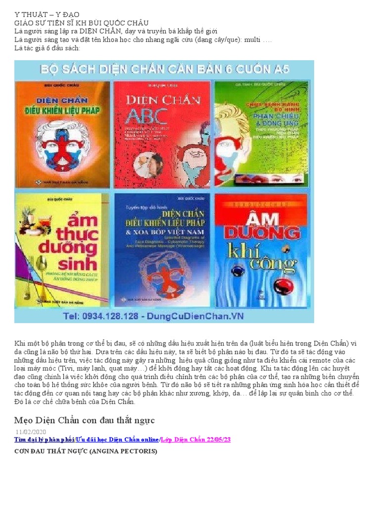 Dien Chan - GS TSKH Bui Quoc Chau | PDF