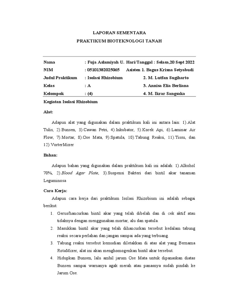 Laporan Sementara Individu | PDF