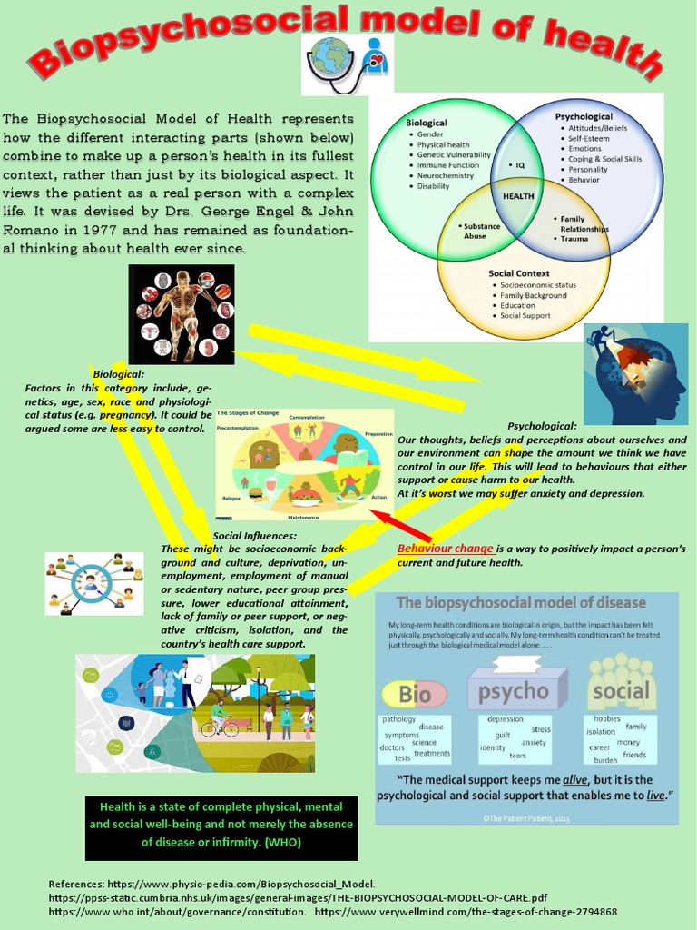 Biopsychosocial Model of Health and Fitness | PDF