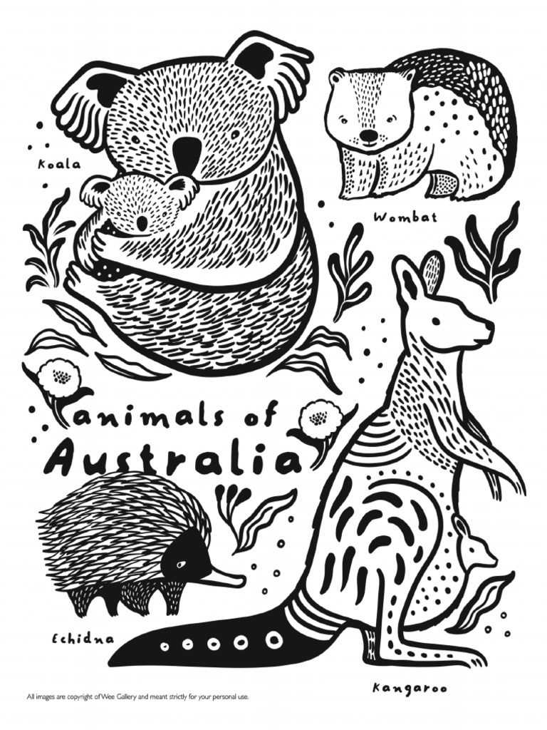 Animals of Australia Print Coloring Page | PDF