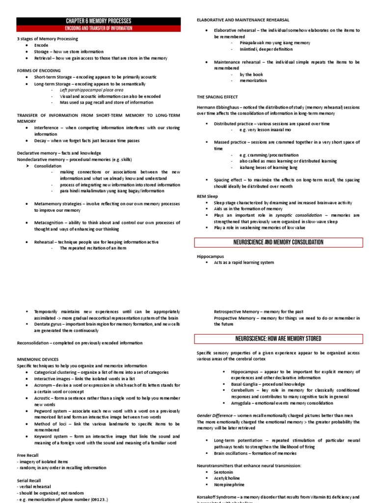 (COG PSYCH) Memory Processes and Mental Images and Prepositions | PDF