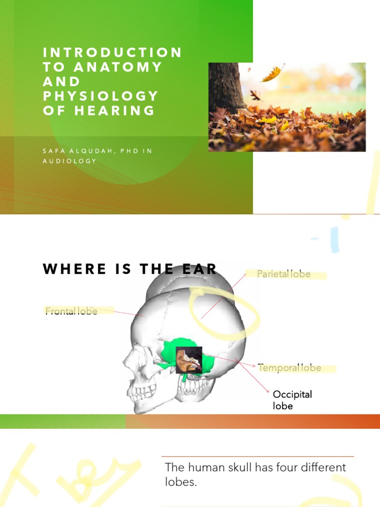Introduction to Anatomy and Physiology of Hearing | PDF | Ear ...