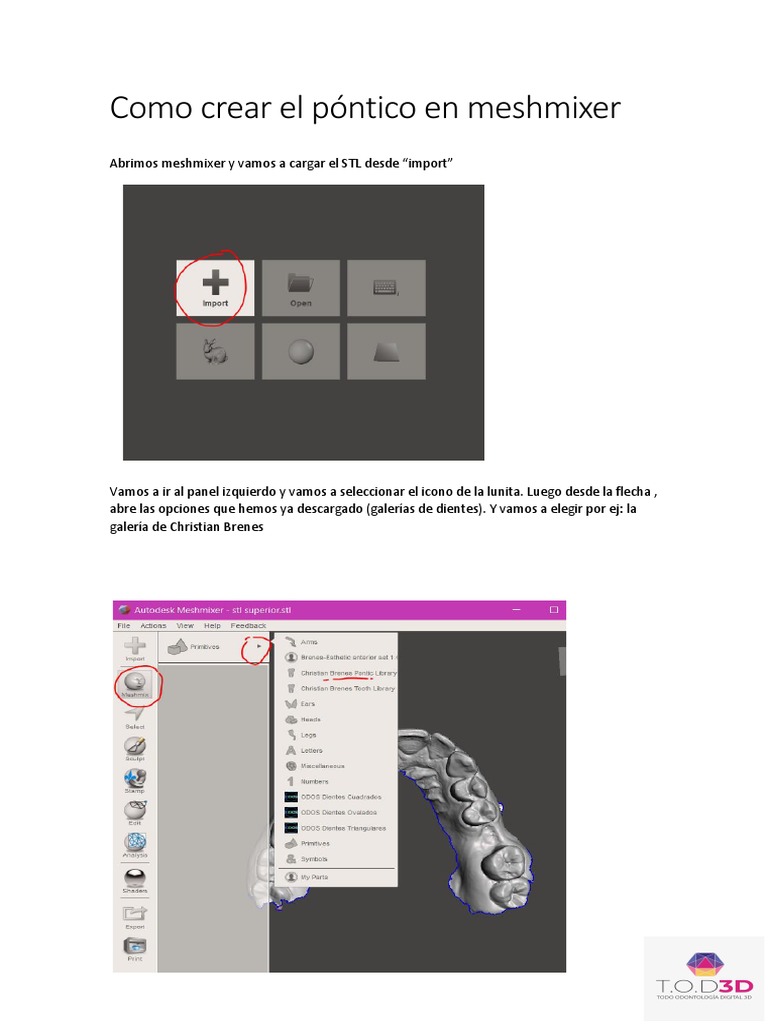 Crear póntico en Meshmixer STL | PDF