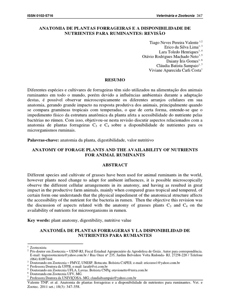 Plantas C3 e C4 | PDF | Plantas | Metabolismo