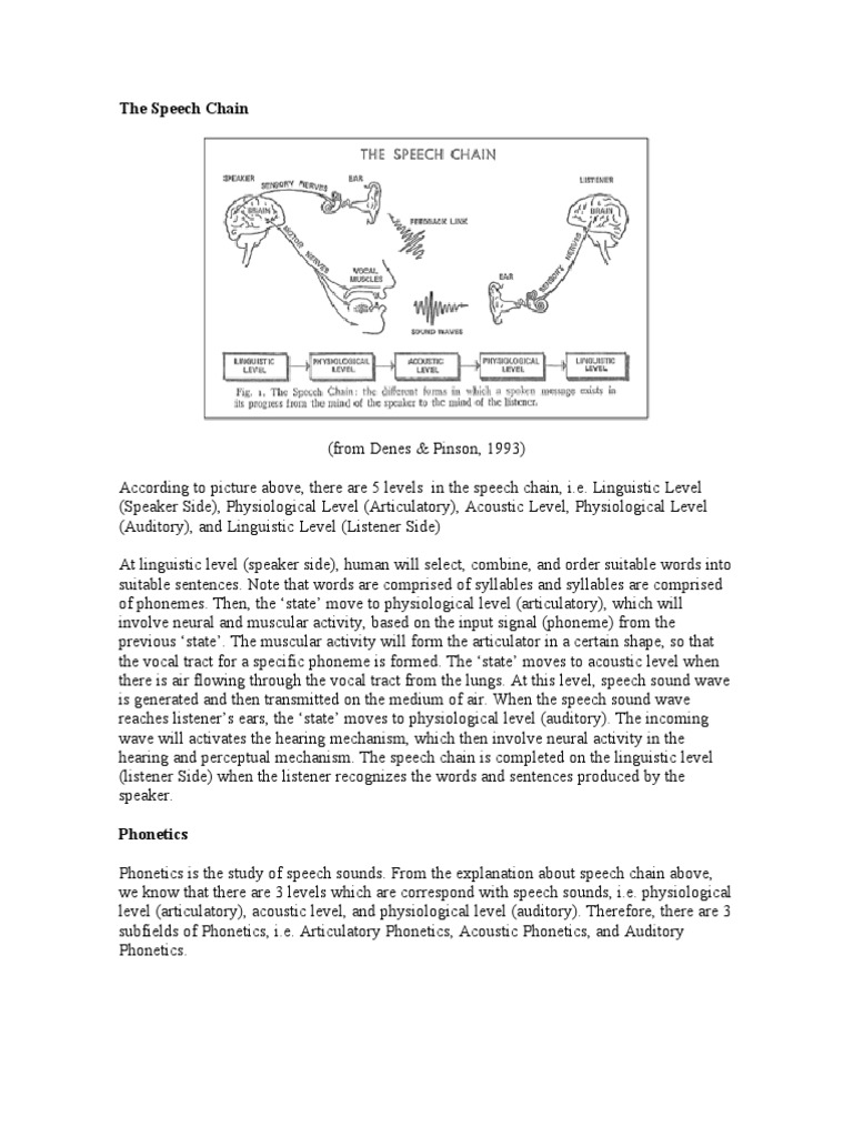 The Speech Chain | PDF | Speech | Phonetics