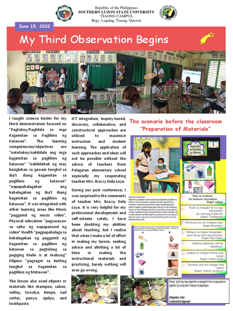 Palma Sciencek Newsletter | PDF | Education Theory | Cognition