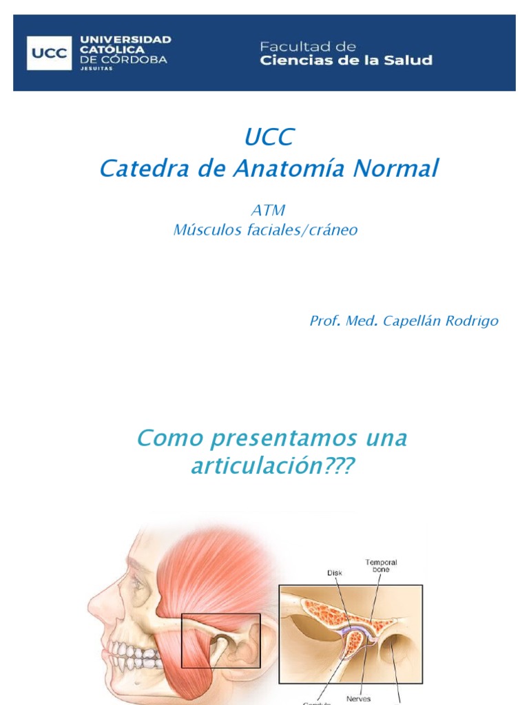 ATM y Musculos de La Mimica | PDF | Sistema musculoesquelético ...