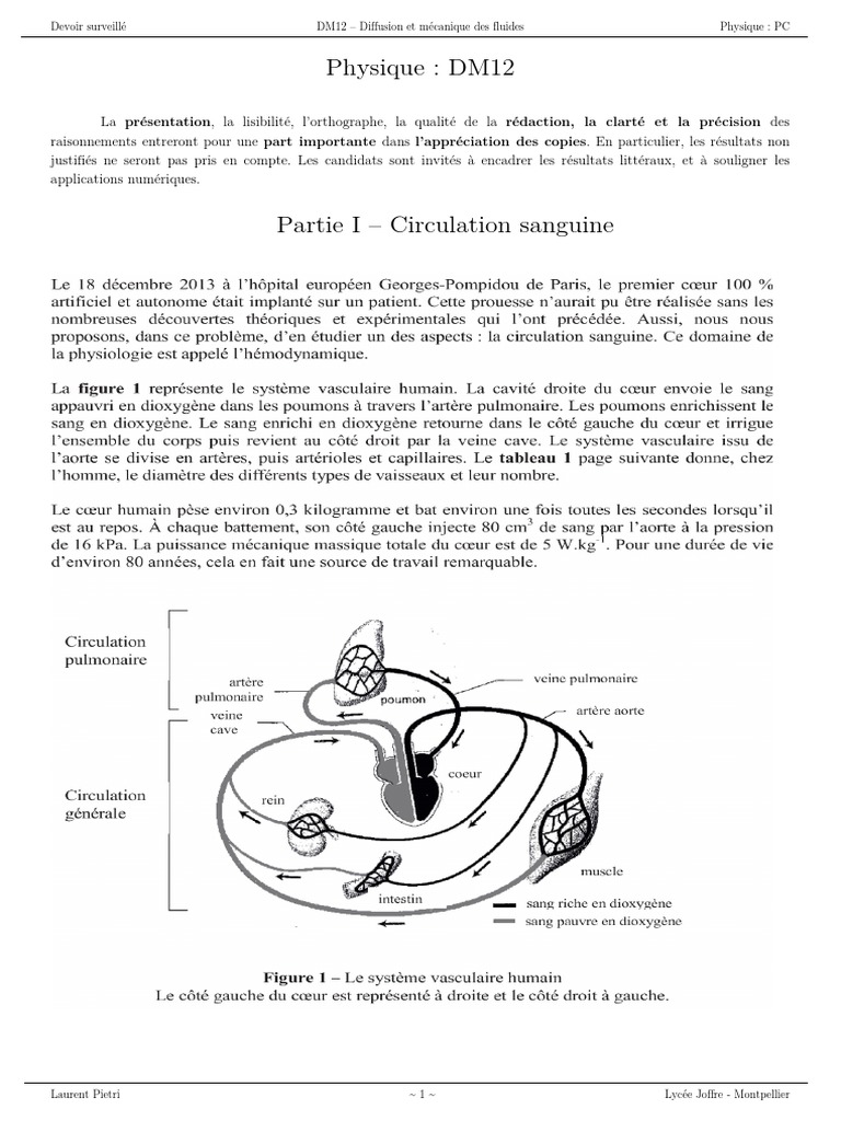 DM12 Diffusion MF | PDF