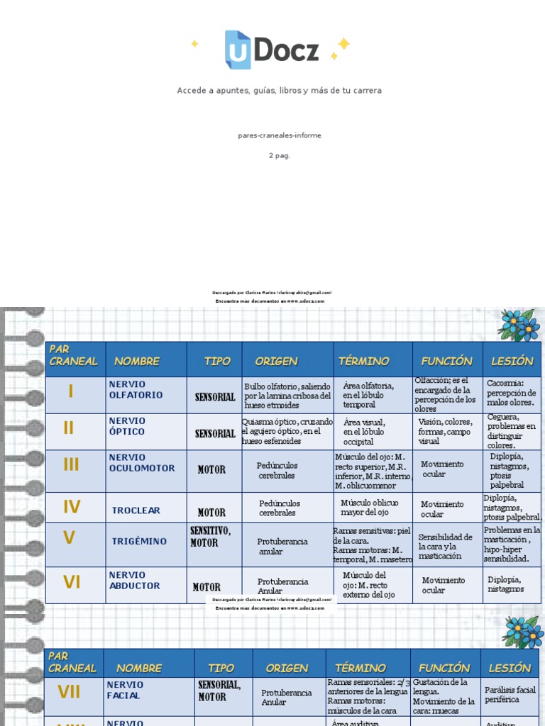 Origen de los Pares Craneales | PDF | Lengua | Percepción visual