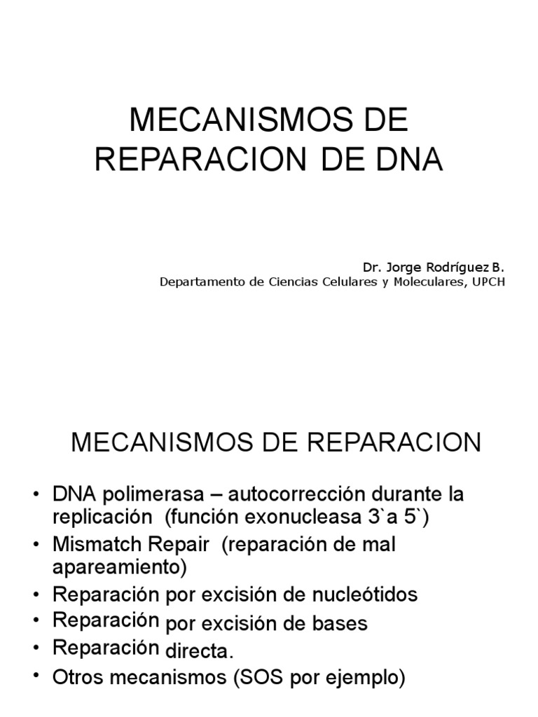 R EPARACION | PDF | Adn | Reparación de adn