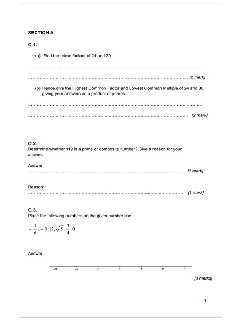NLCS Y7 Assessment 1 | PDF