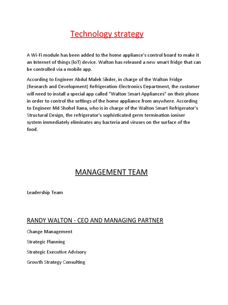 Technology Strategy | PDF