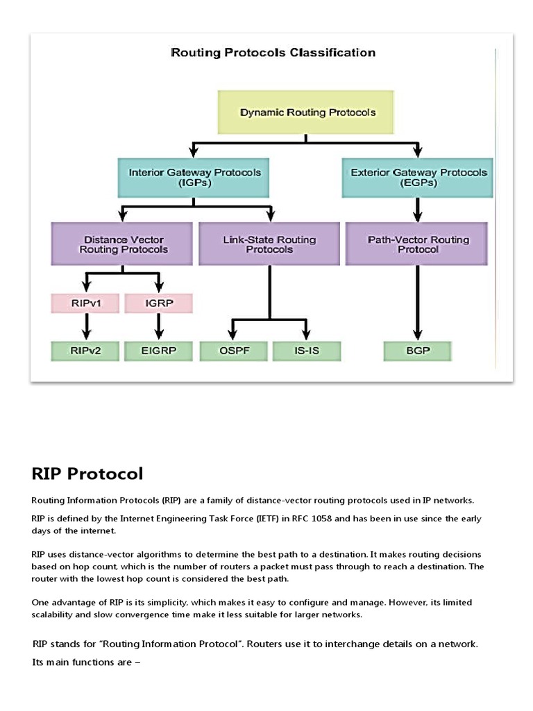 RIP Protocol | PDF | Routing | Telecommunications Standards