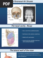 Anatomy of the Osteomeatal Complex | PDF | Human Nose | Human Head And Neck