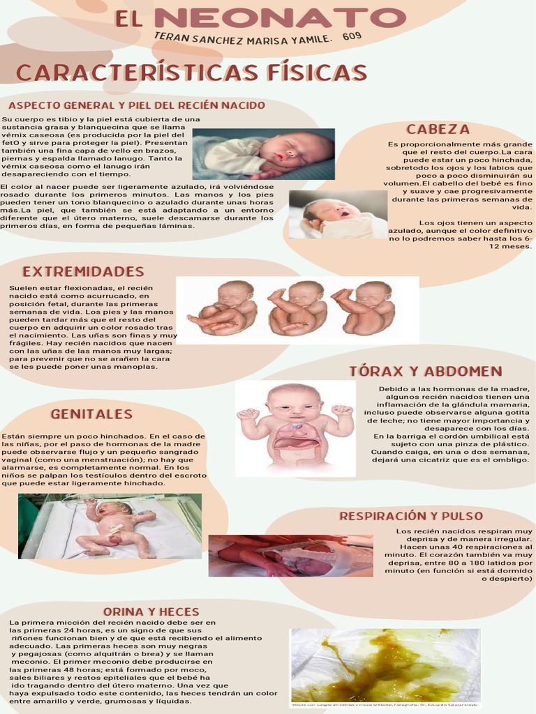 El neonato | PDF
