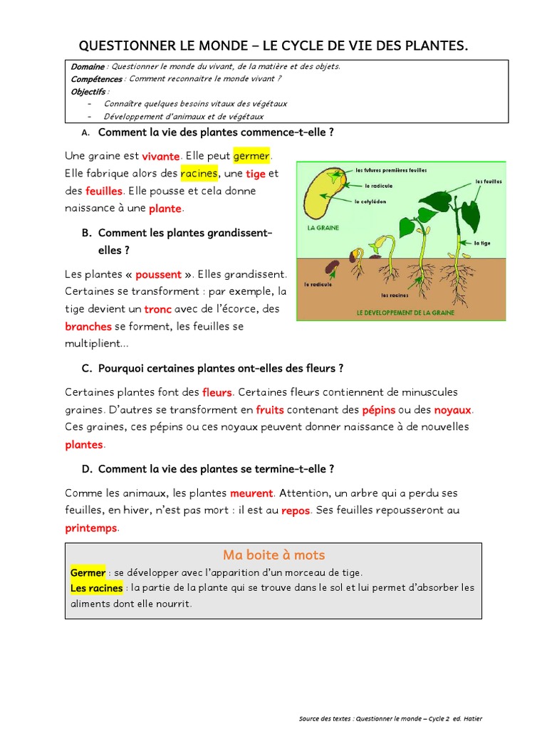 Cycle de vie des plantes | PDF | Études des langues étrangères | Maison ...