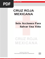 Claves Operativas de Cruz Roja | PDF