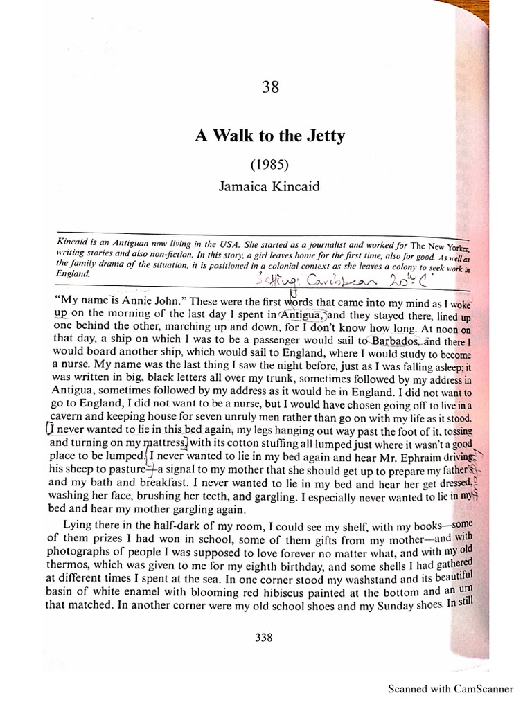 Analysis of "A Walk to the Jetty" | PDF