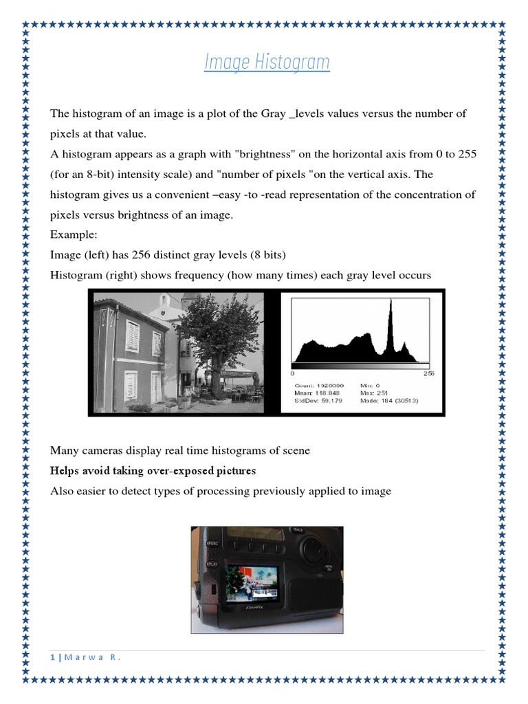 Lecture 8 | PDF | Histogram | Probability Distribution