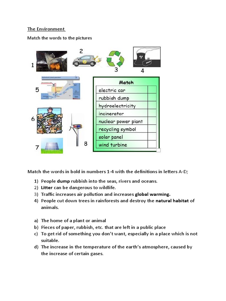 The Environment | PDF