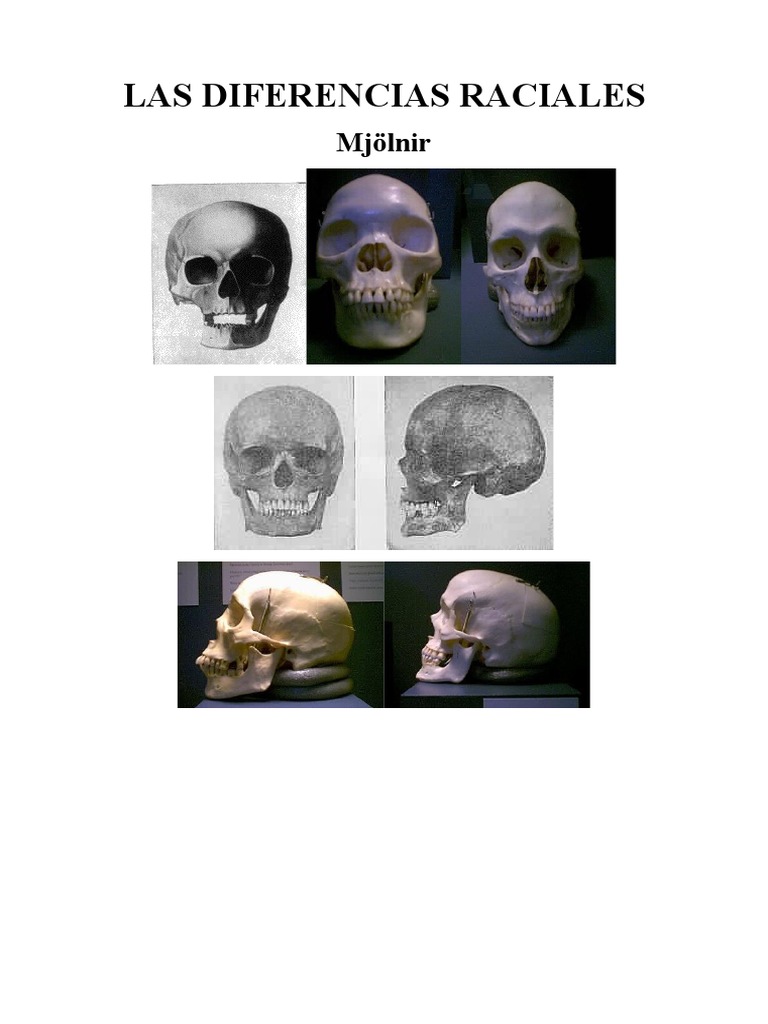 Mjolnir - Las Diferencias Raciales | PDF | Raza (categorización humana ...