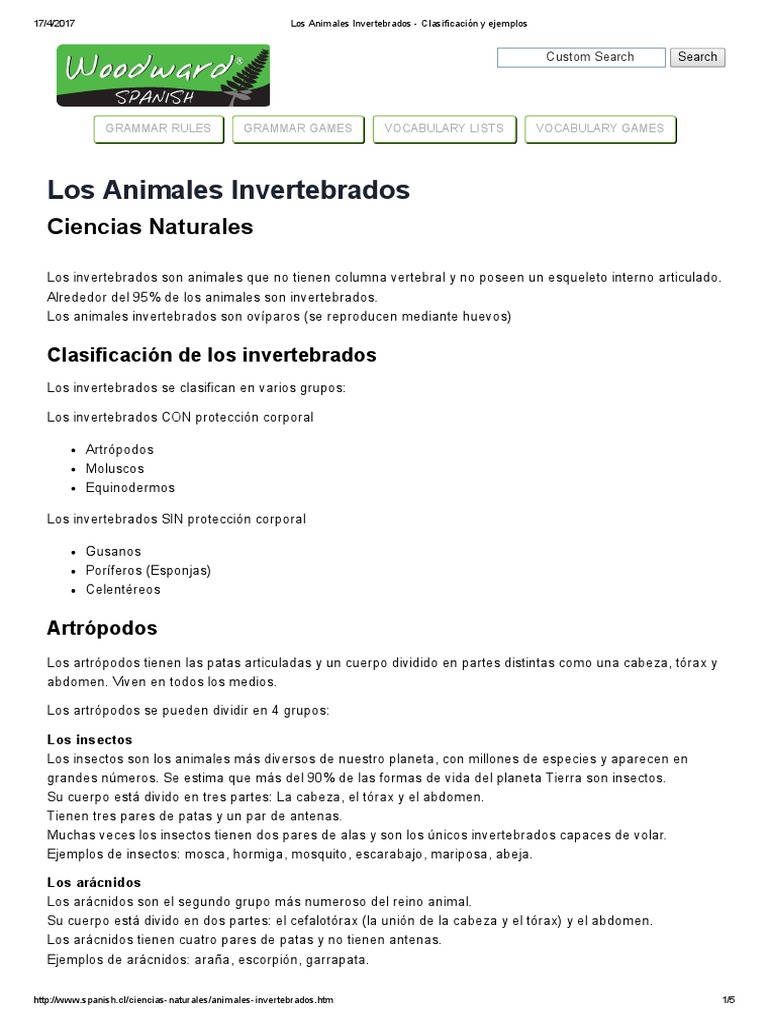 Clasificación de Animales Invertebrados | PDF | Bivalvia | Insectos