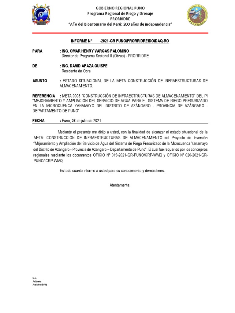 Informe INFORME SITUACIONAL | PDF