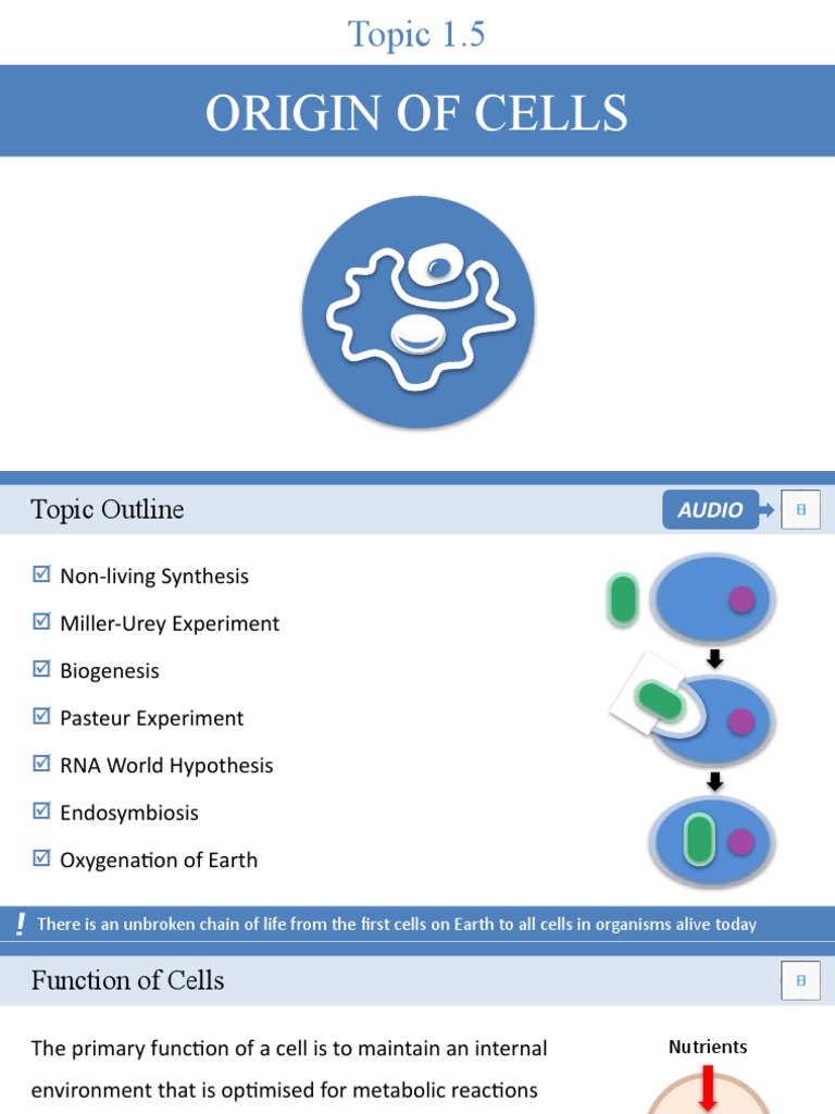 Origin of Cells | PDF | Cell (Biology) | Abiogenesis