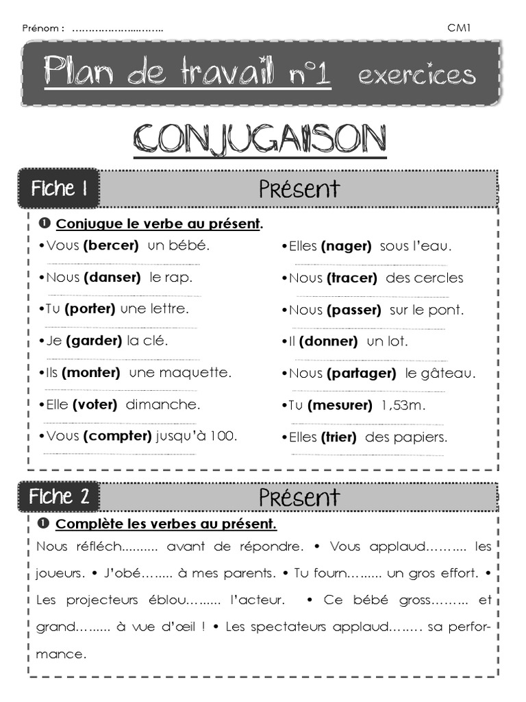 plans-de-travail-DIFF-CM1 | PDF