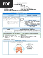 Disecando el Pulmón de Vaca | PDF | Pulmón | Sistema respiratorio