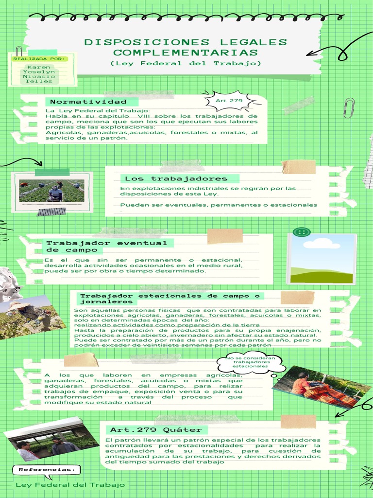 Disposiciones Legales Complementarias: Normatividad | PDF | Salario