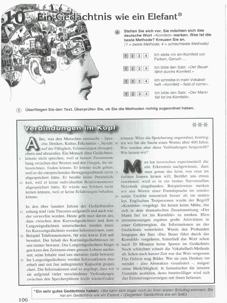 Lektion 10. Gedächtnis. Kursbuch | PDF