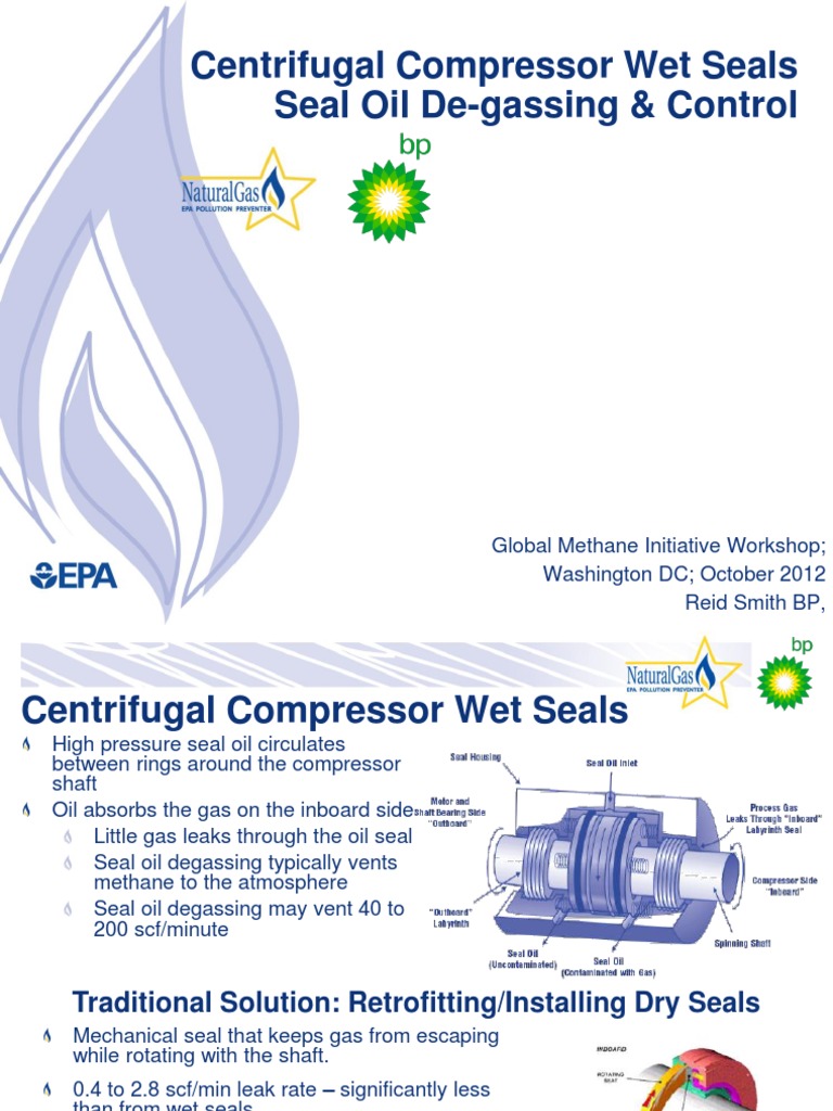 Dry Gas Seal and Wet Oil Seal | PDF | Natural Gas | Climate Change ...