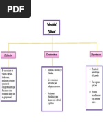 Mapa Conceptual Diversidad Cultural | PDF | Interculturalidad | Educacion Cultural