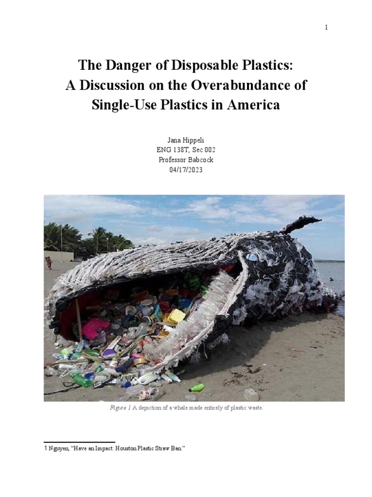 Issue Brief Final Draft 1 | PDF | Recycling | Reuse