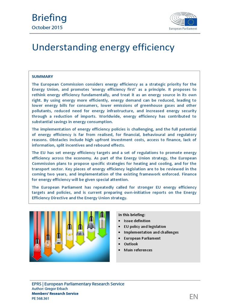 Understanding Energy Efficiency | PDF | Efficient Energy Use | Energy Conservation