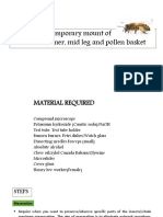 Goat Skeletal Anatomy Overview | PDF | Vertebra | Vertebral Column