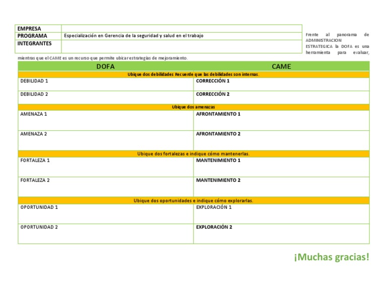 Formato DOFA y CAME | PDF