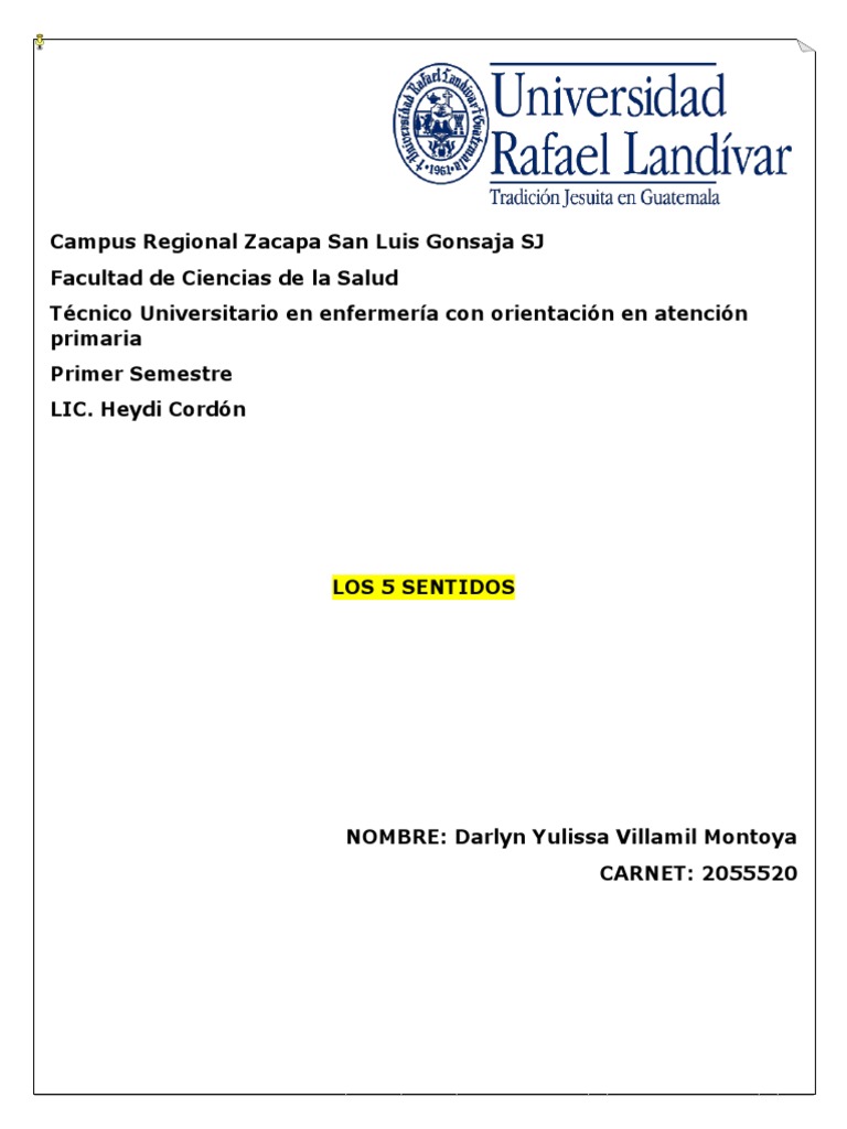 Funciones de los 5 sentidos humanos | PDF