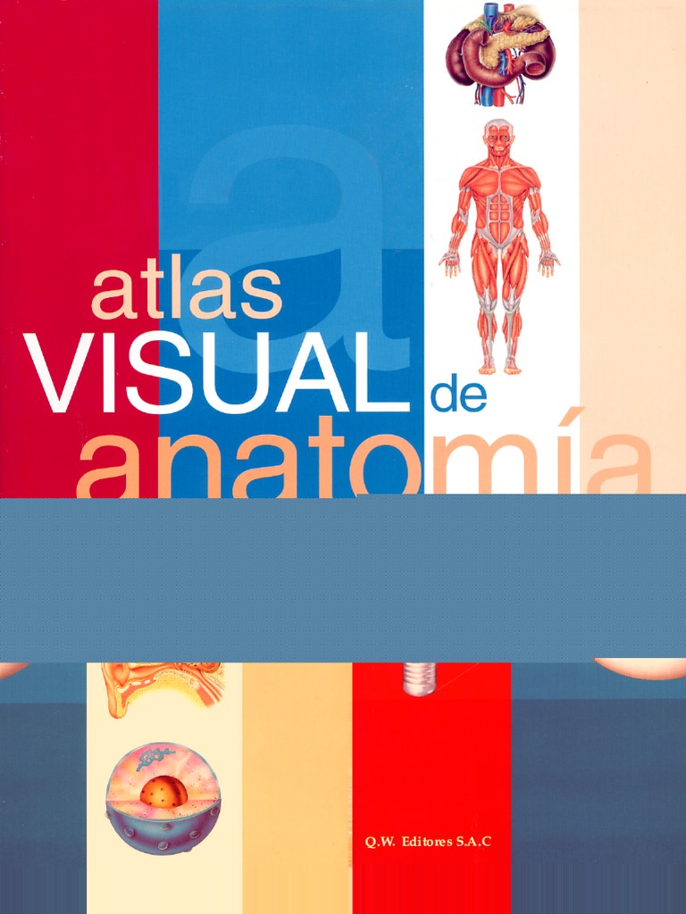 Atlas Visual de Anatomía | PDF
