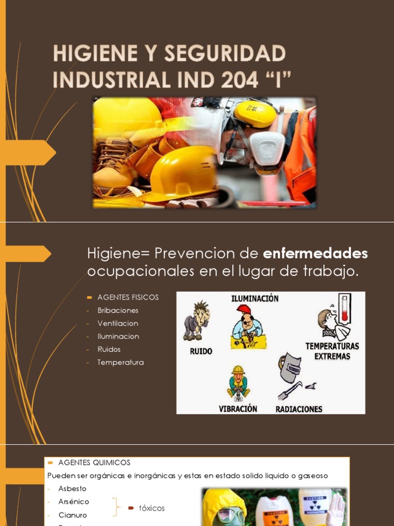 Higiene y Seguridad Industrial Ind 204 Ayudantia 1 | PDF | Seguridad y salud ocupacional