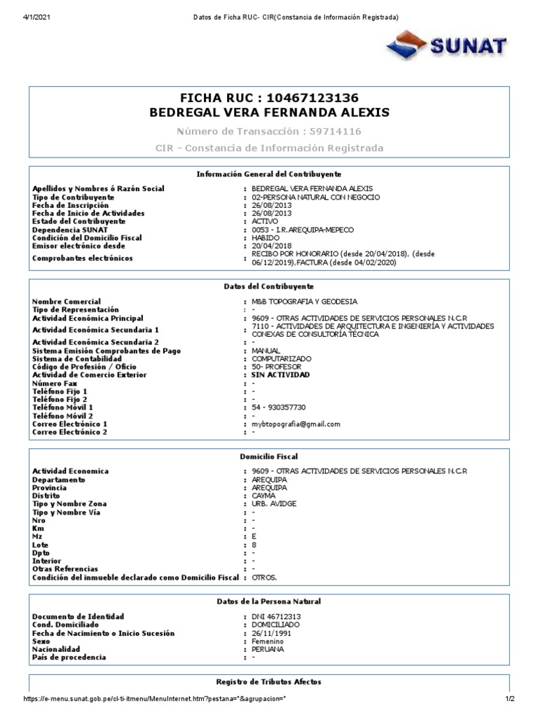 Ficha RUC - 2021 | PDF