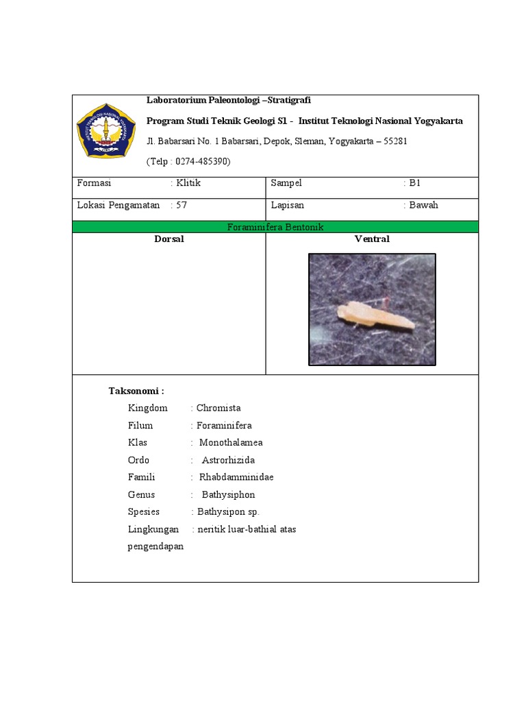 FORM FOSIL KLITK Bentonik | PDF