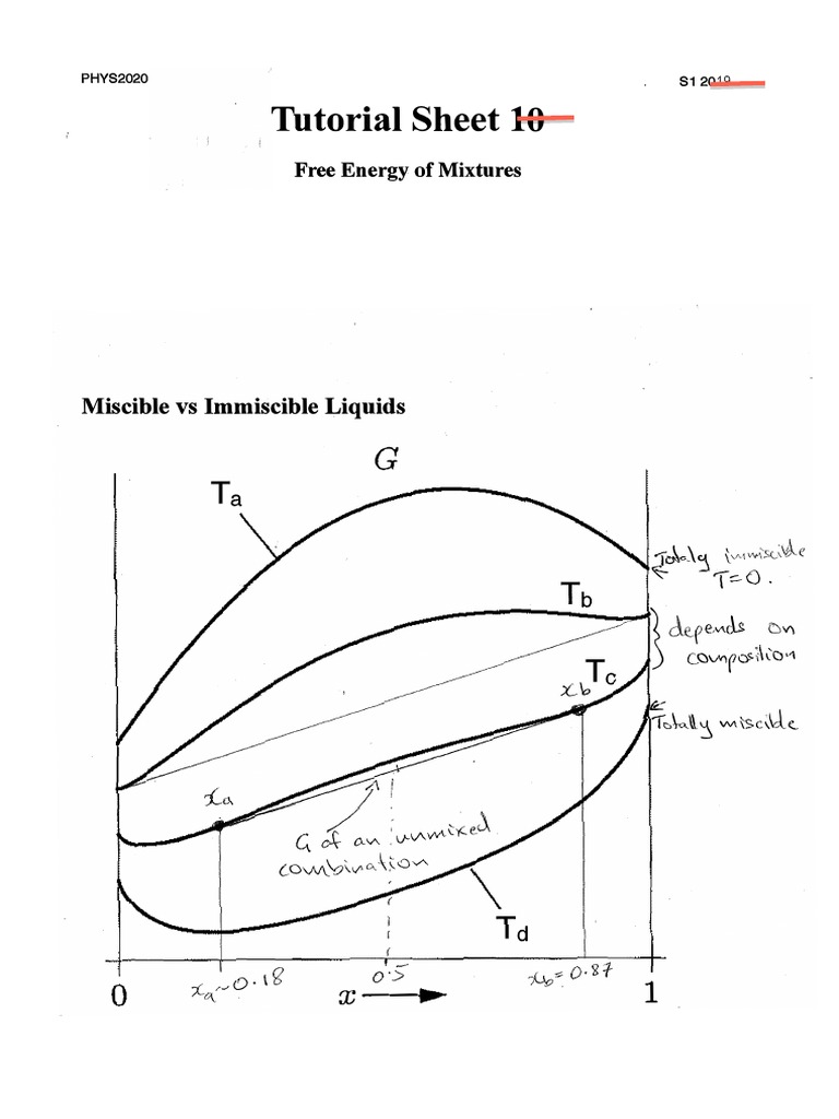 Worksheet 10 Solutions | PDF
