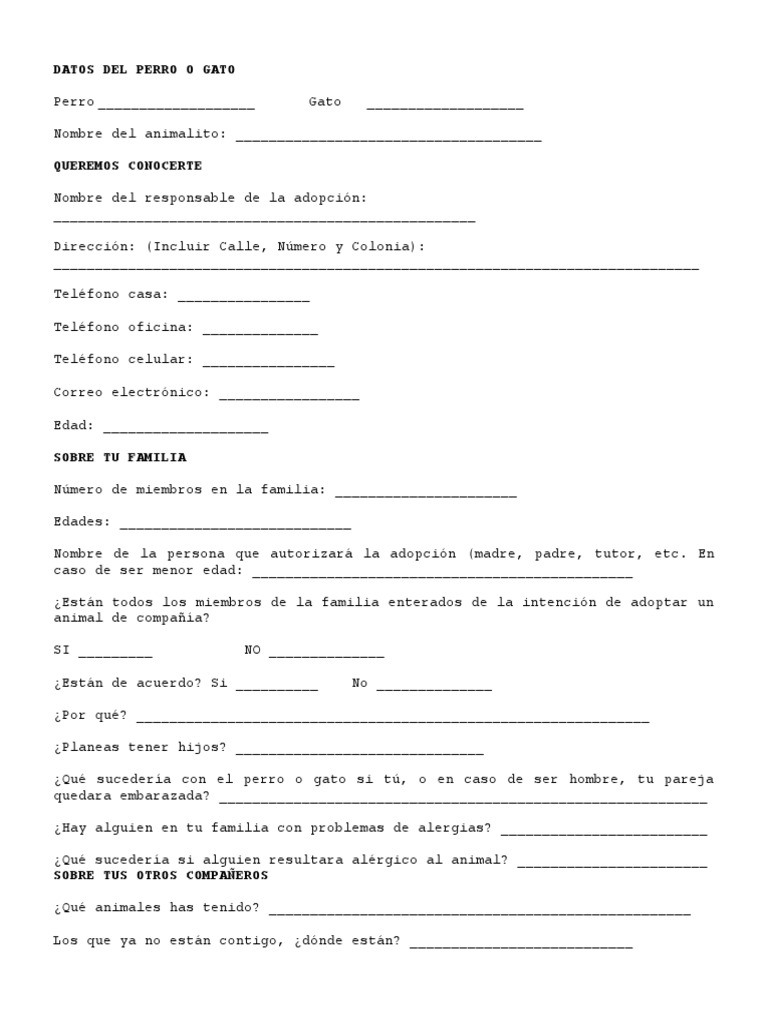 Test de Responsabilidad | PDF