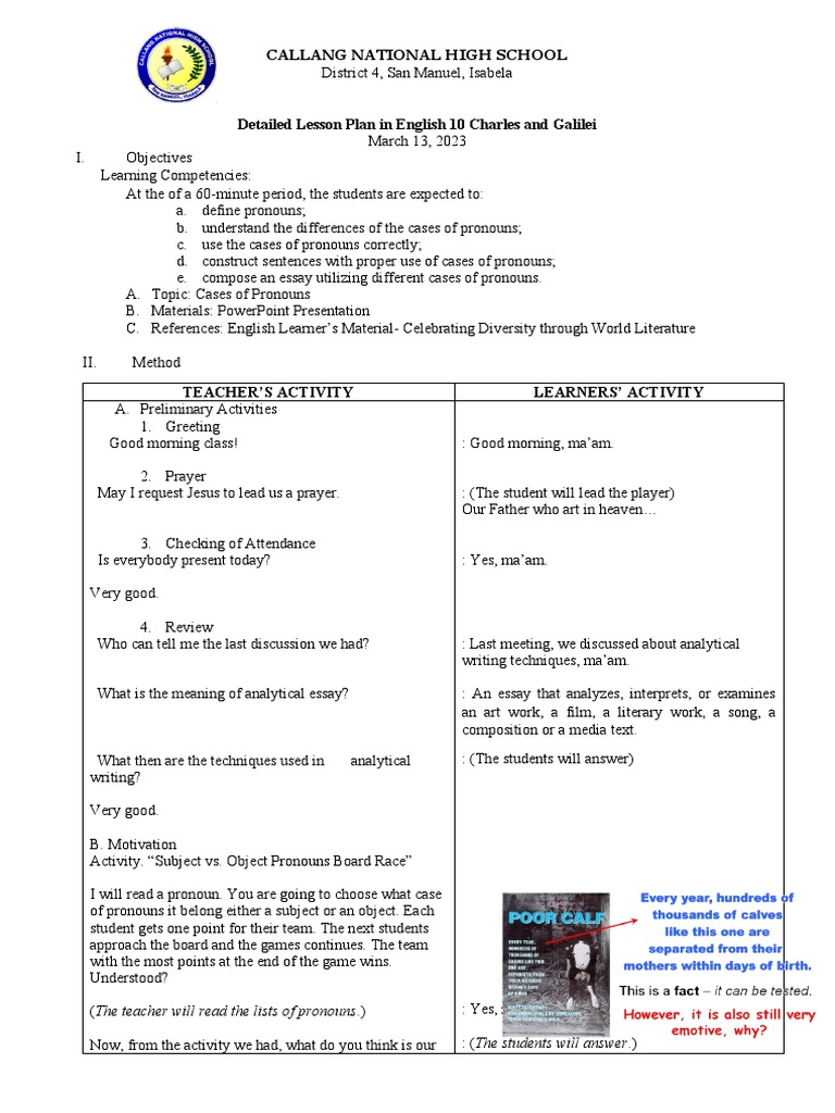 Pronouns Lesson Plan for English 10 | PDF | Pronoun | Grammatical Number